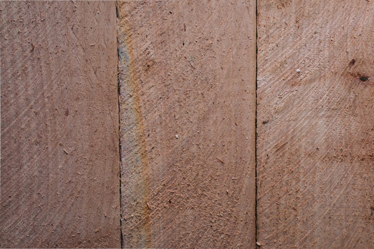 Macrocarpa Shelter Belt - NZ Nurseries