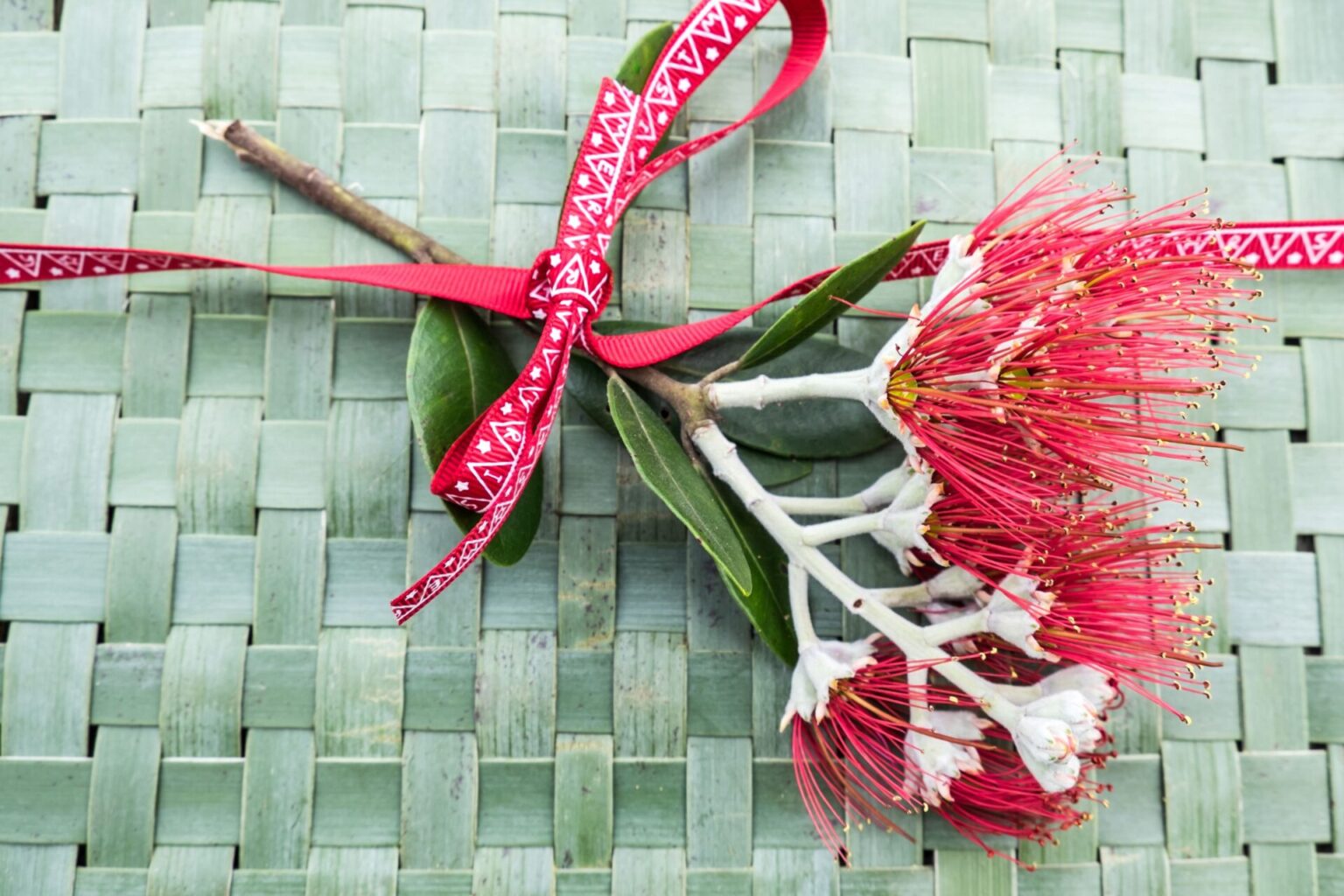 Pohutukawa Gift Tree | Natural - Sustainable - Thoughtful